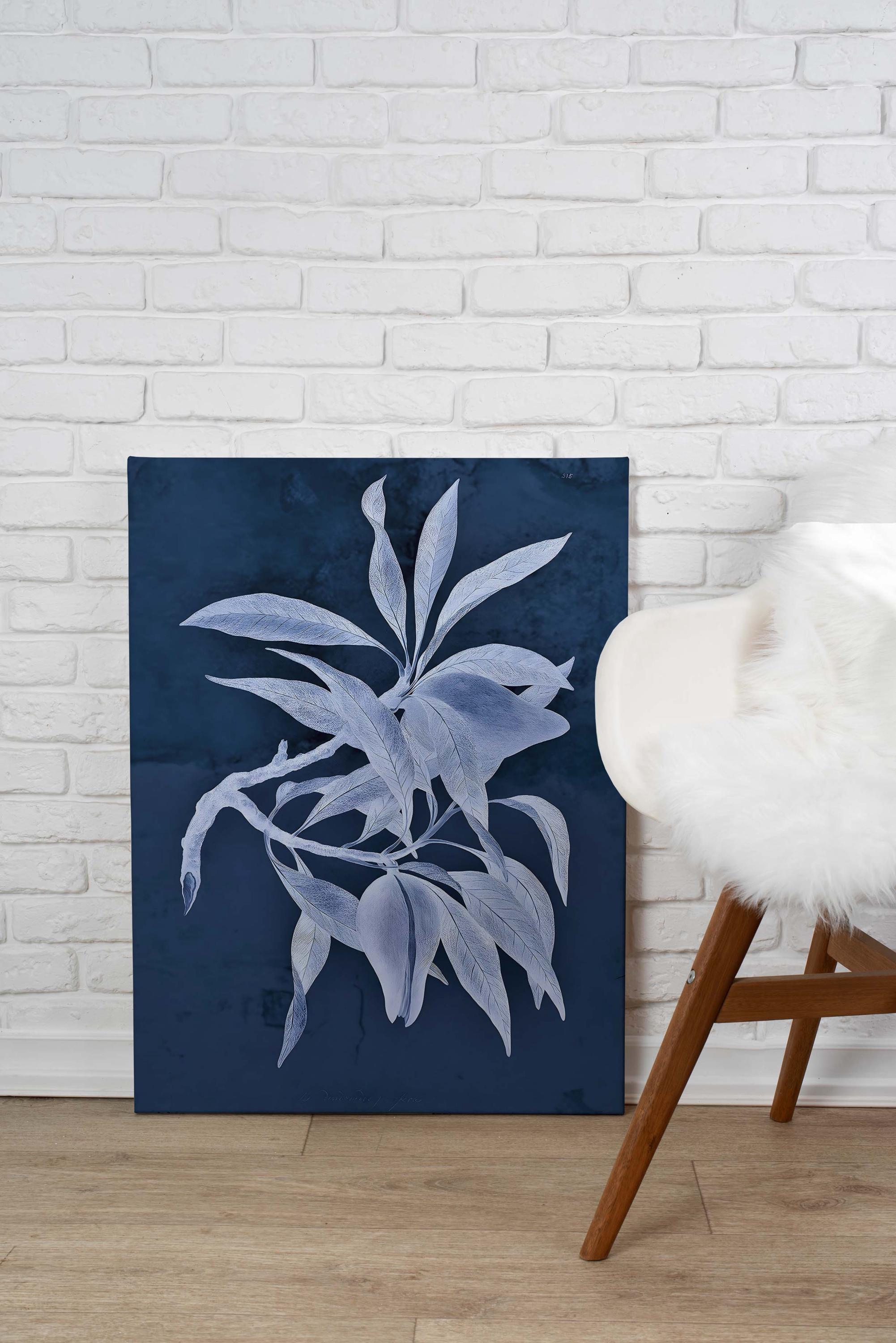 Anna Atkins Cyanotype Wall Art, Navy and White Decor, Blue and White ...