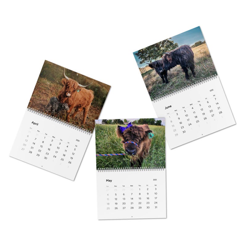 Standard Wall Calendar (2025) - Etsy