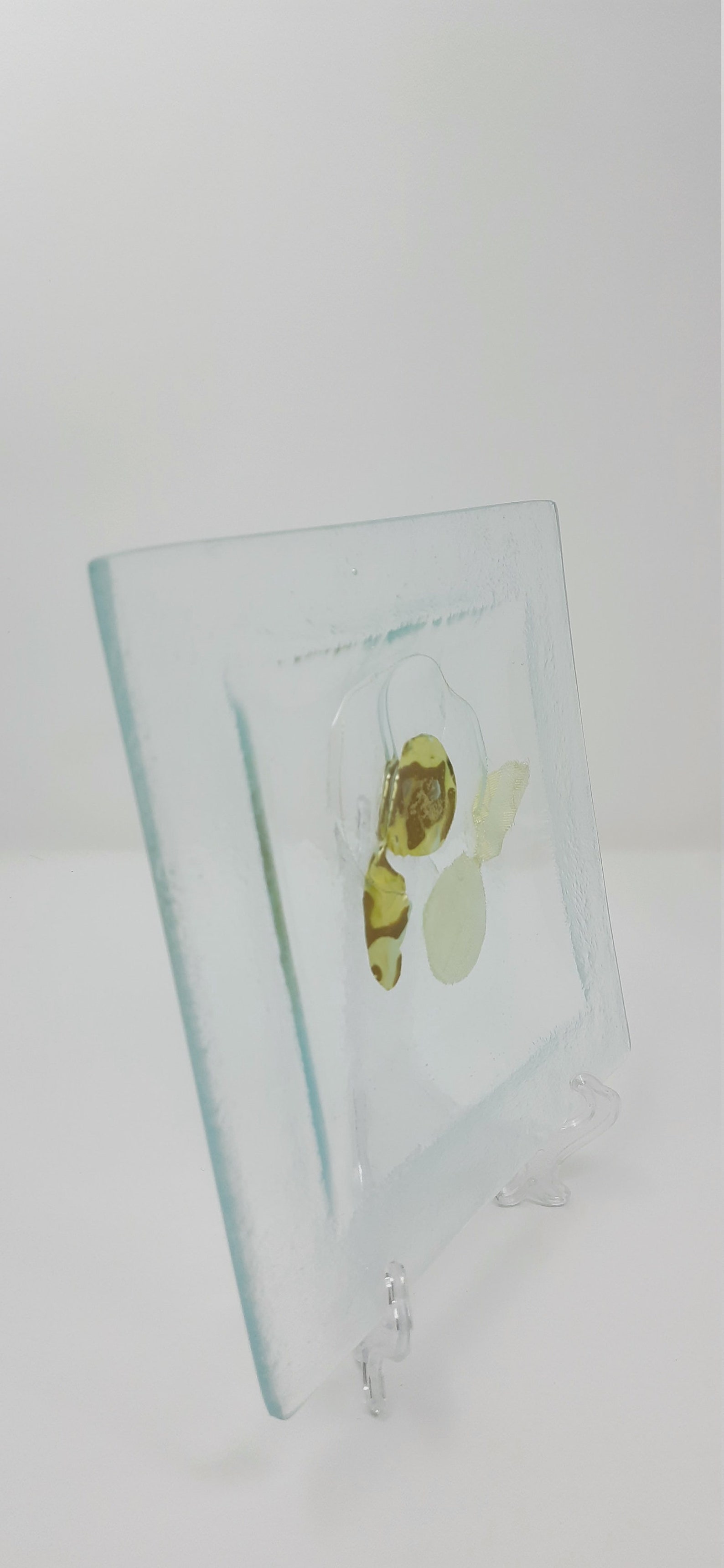 Twins Plate Square Glass Tray Clear Glass Plate | Etsy