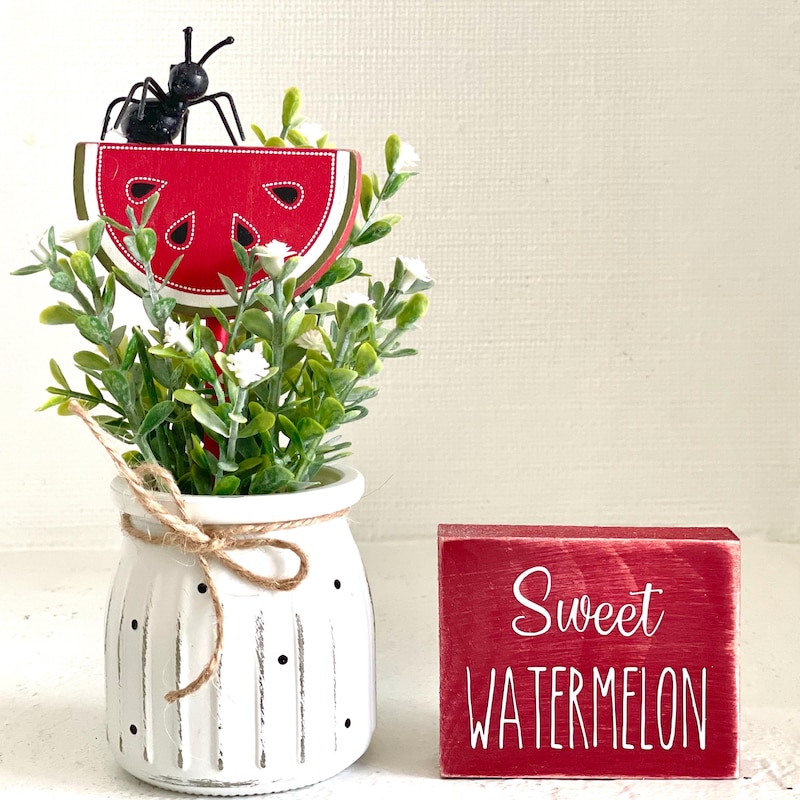 Watermelon Decor - Etsy