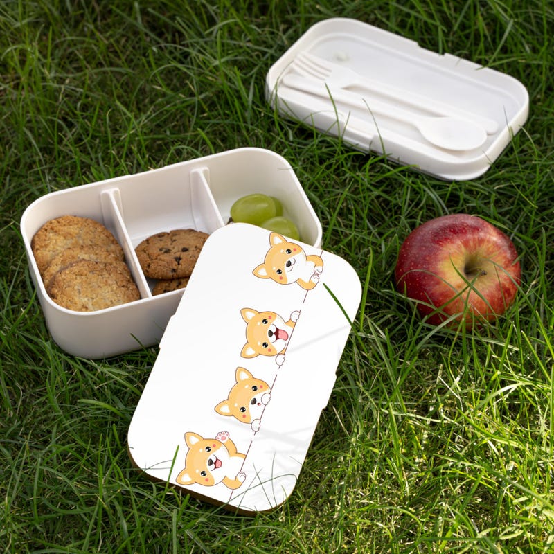 Kawaii Lunch Box - Etsy