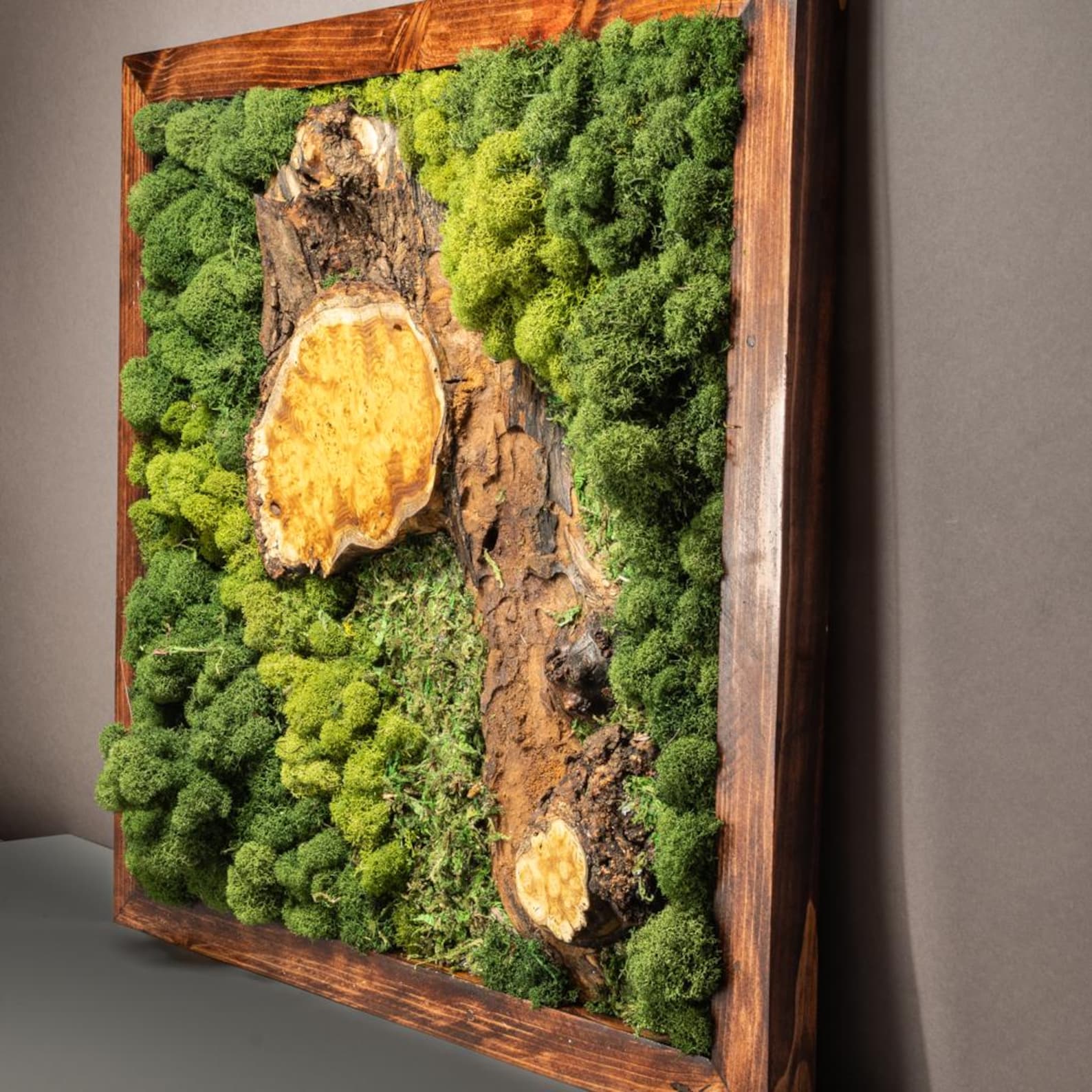 Handcrafted Preserved Moss Art Framed in Rustic Wood, Blending Lush ...