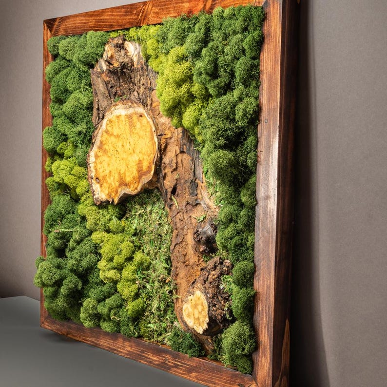 Handcrafted Preserved Moss Art Framed in Rustic Wood, Blending Lush ...