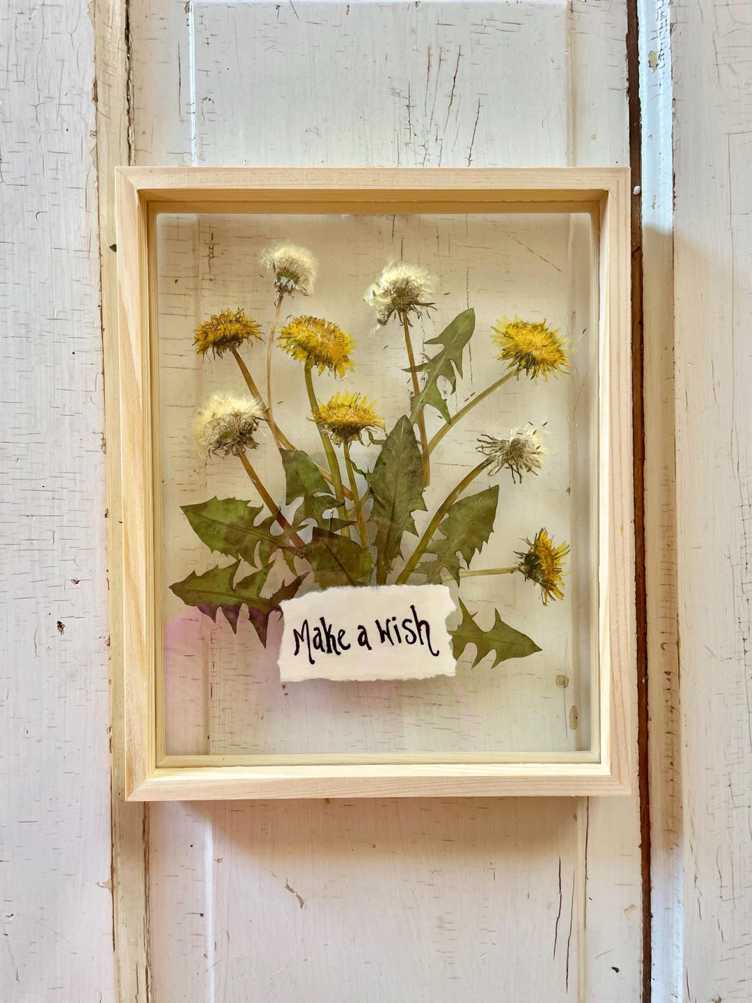 Make a Wish Dandelion Collage flowers, Dried Flowers, Dandelion, Dried ...