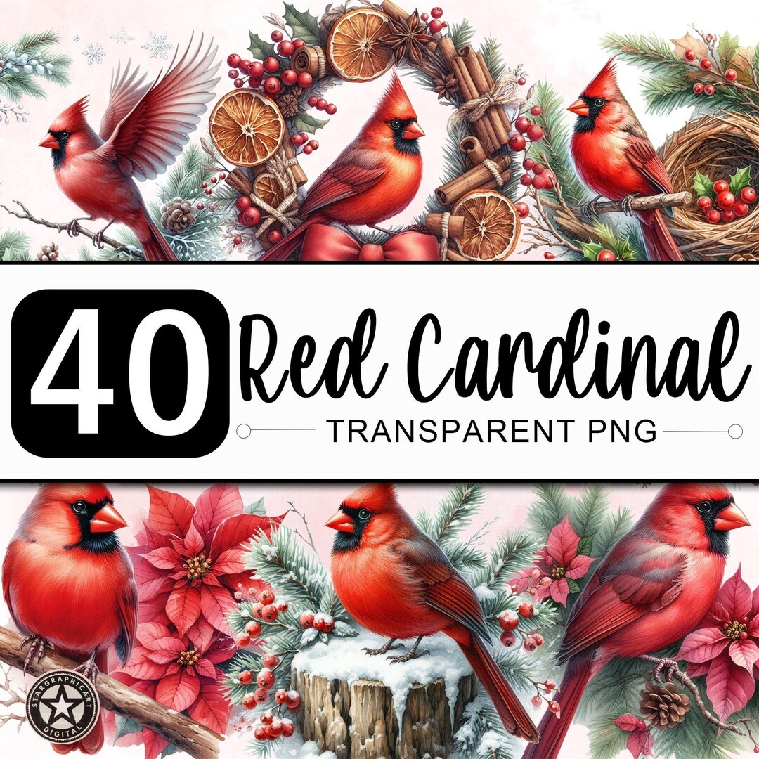 Watercolor Red Cardinal Clipart Bundle, 40 Png Red Cardinal Christmas ...