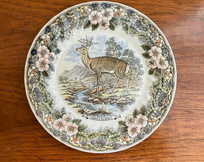 Wildlife Series by Churchill | Vintage Dinner Plates | Historical Myott ...