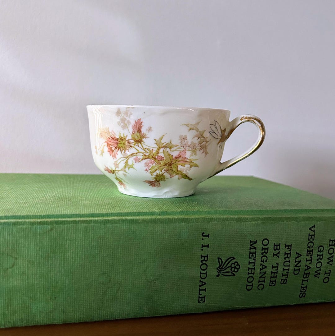 Antique Limoges Tea Cup Set: Haviland French Bone China, Pink Daisies ...