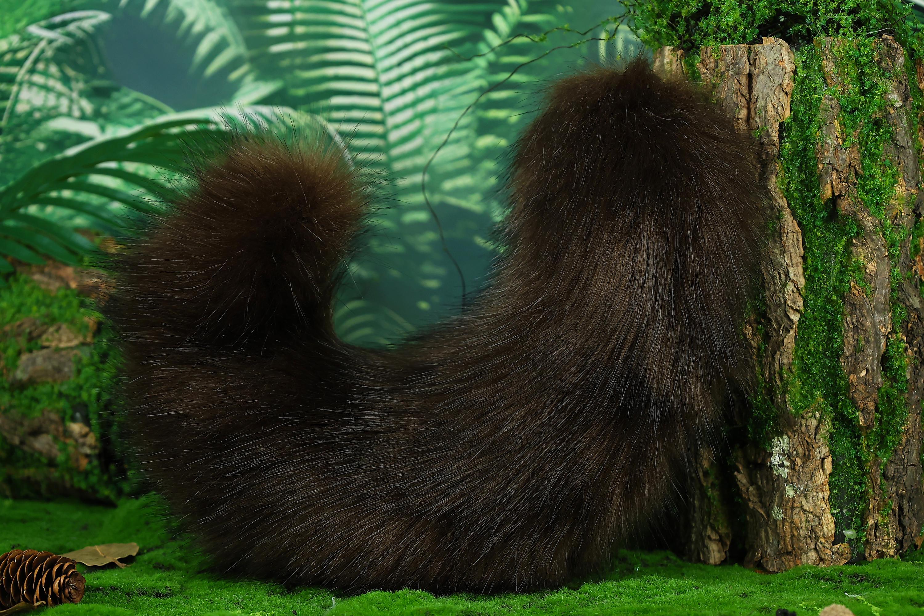 Cosplay Brown Puppy Ears and Tail Kitten Ears and Tail Simulation Ears ...