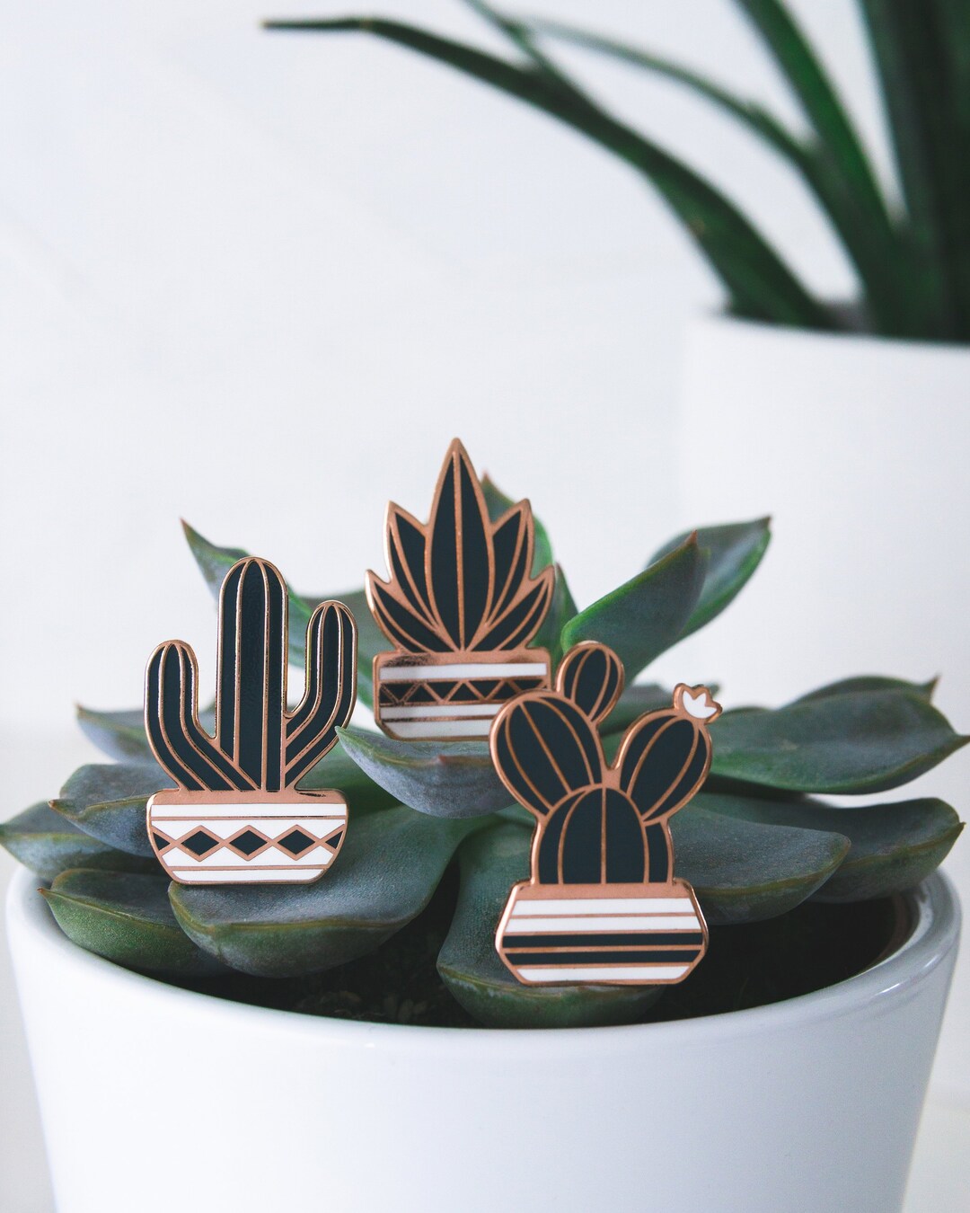 Cactus Enamel Pin Pack (saguaro, Agave, and Prickly Pear) - Etsy