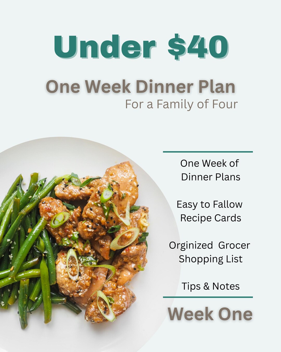 Budget Meal Plan – Under 40 Dollars Weekly Dinners, Family of 4 (PDF ...