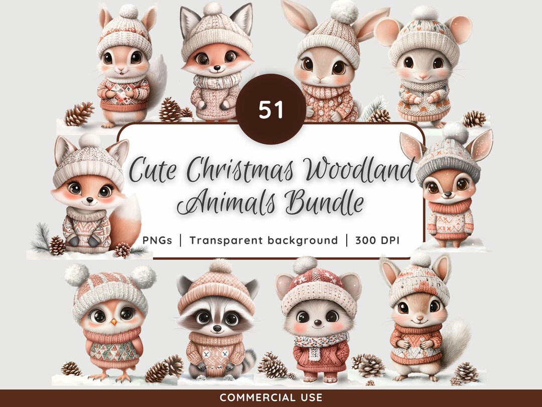 Christmas Cute Squirrel Clipart Bundle and Winter Woodland Animals PNG ...