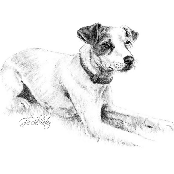 Jack Russell Drawing - Etsy
