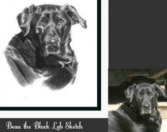 8x10 Custom Pet Portrait Dog Drawing Print Sketch From | Etsy