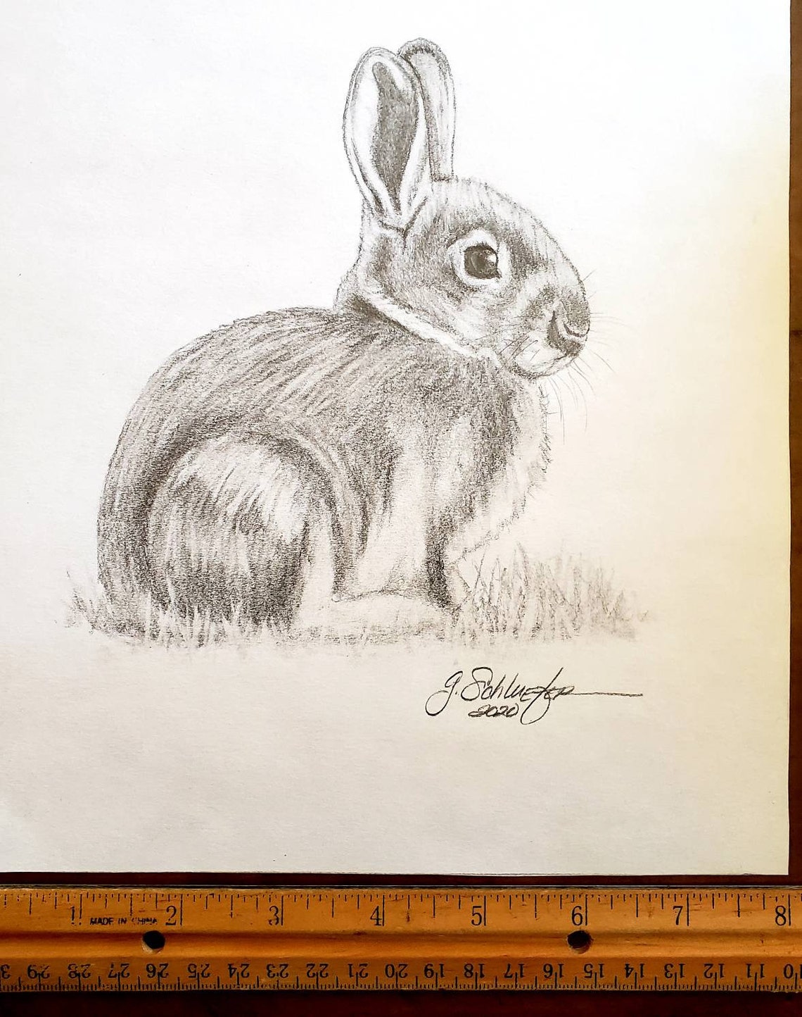 8x10" Bunny Rabbit Sweet Animal Graphite Pencil Hand Sketched Drawing ...