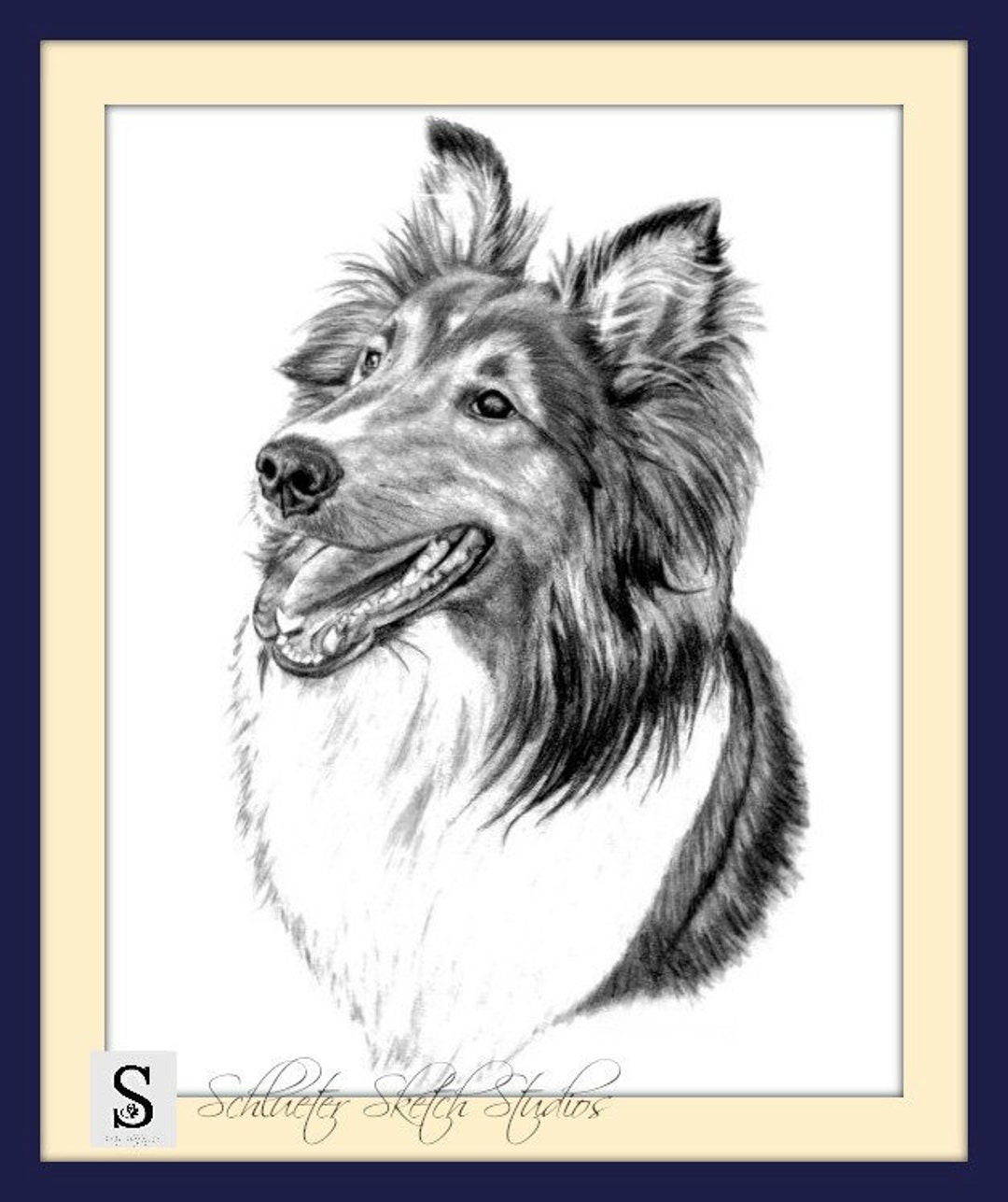 Print of Hand Drawn Sketch of Shetland Sheepdog Art Pet Portrait Dog ...