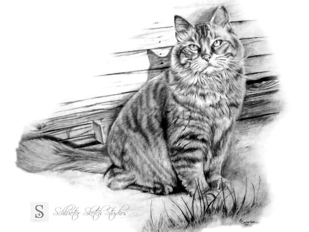 11x14 Pet Cat Portrait Kitty Drawing Hand Drawn Pencil Sketch From Your ...