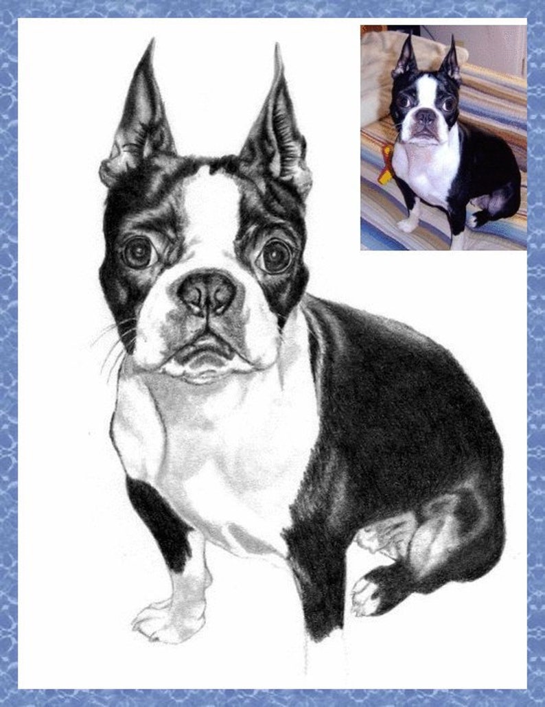 Custom Pet Portrait Drawing From Photo Dog Art 8x10 Pet - Etsy