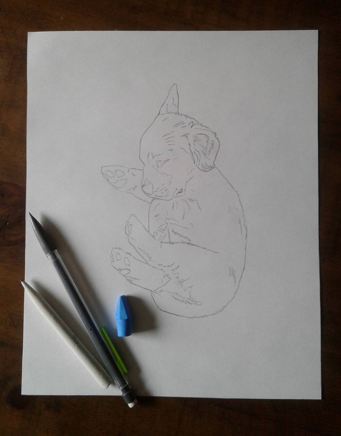 Learn to Draw Pre-outlined Pencil & Paper Drawing Kit W/ Tutorial Easy ...