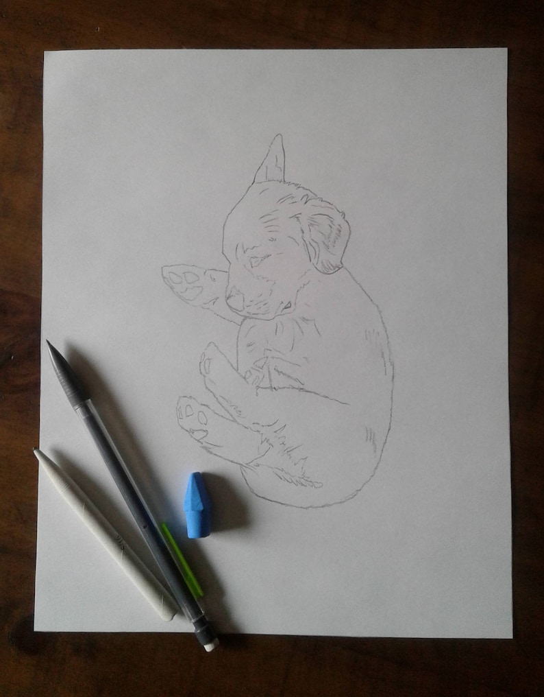 Learn to Draw: Pre-outlined Puppy, Pencil & Paper Kit W/ Tutorial - Etsy