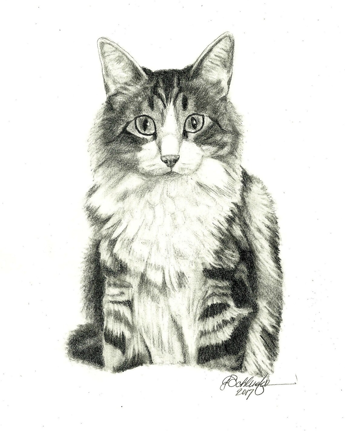 8x10 Custom 2 Cat Kitty Feline Hand Drawn Pencil Sketch from | Etsy