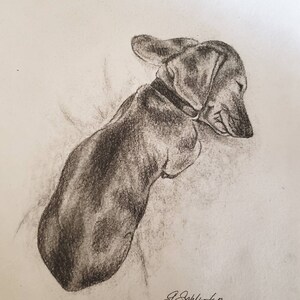 6x8" Hand Drawn Pet Portrait of Doxie/dachshund Puppy Sleeping Graphite ...