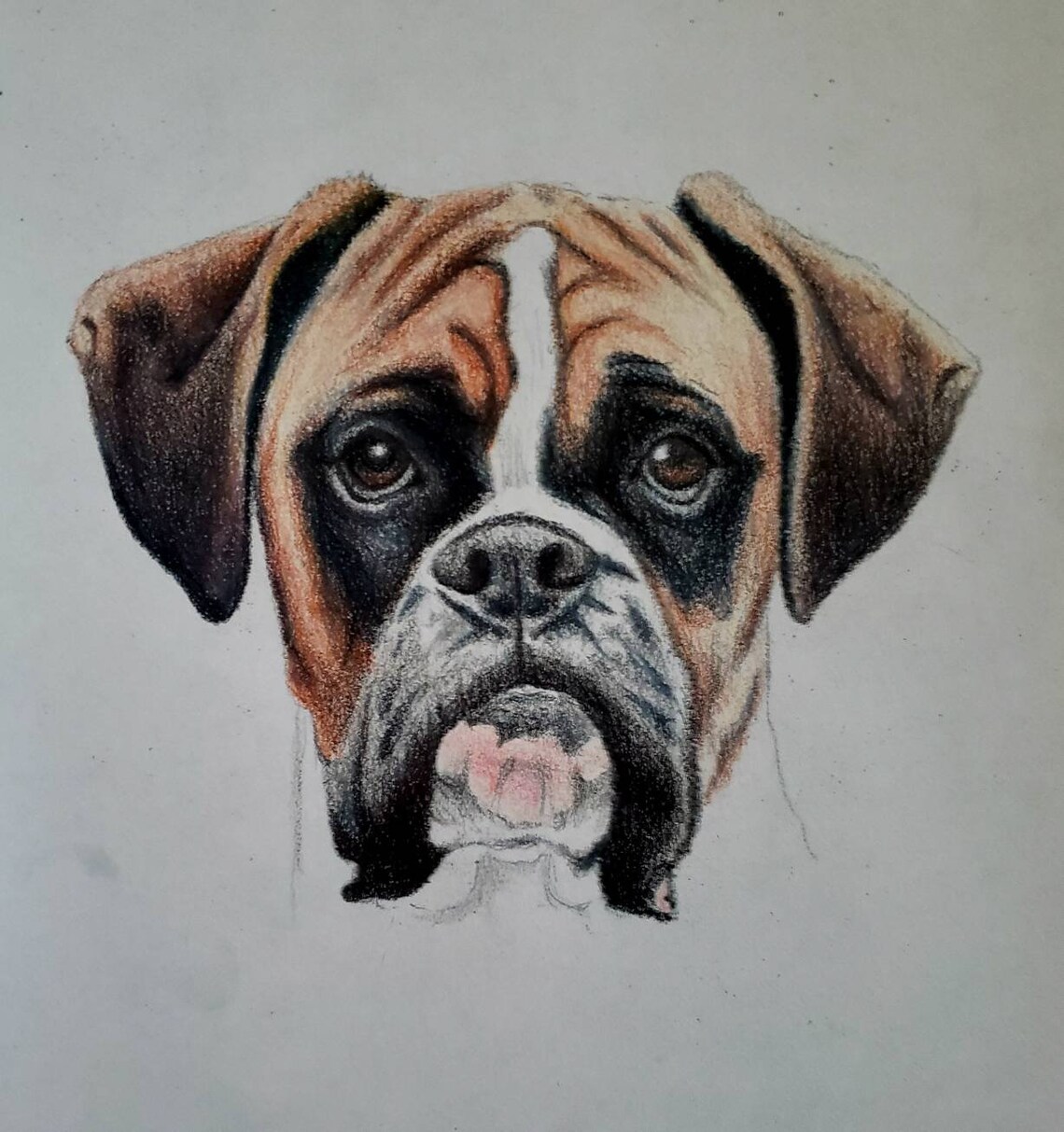 Beautiful Colored Pencil Pet Portrait Art Drawn by Hand From | Etsy