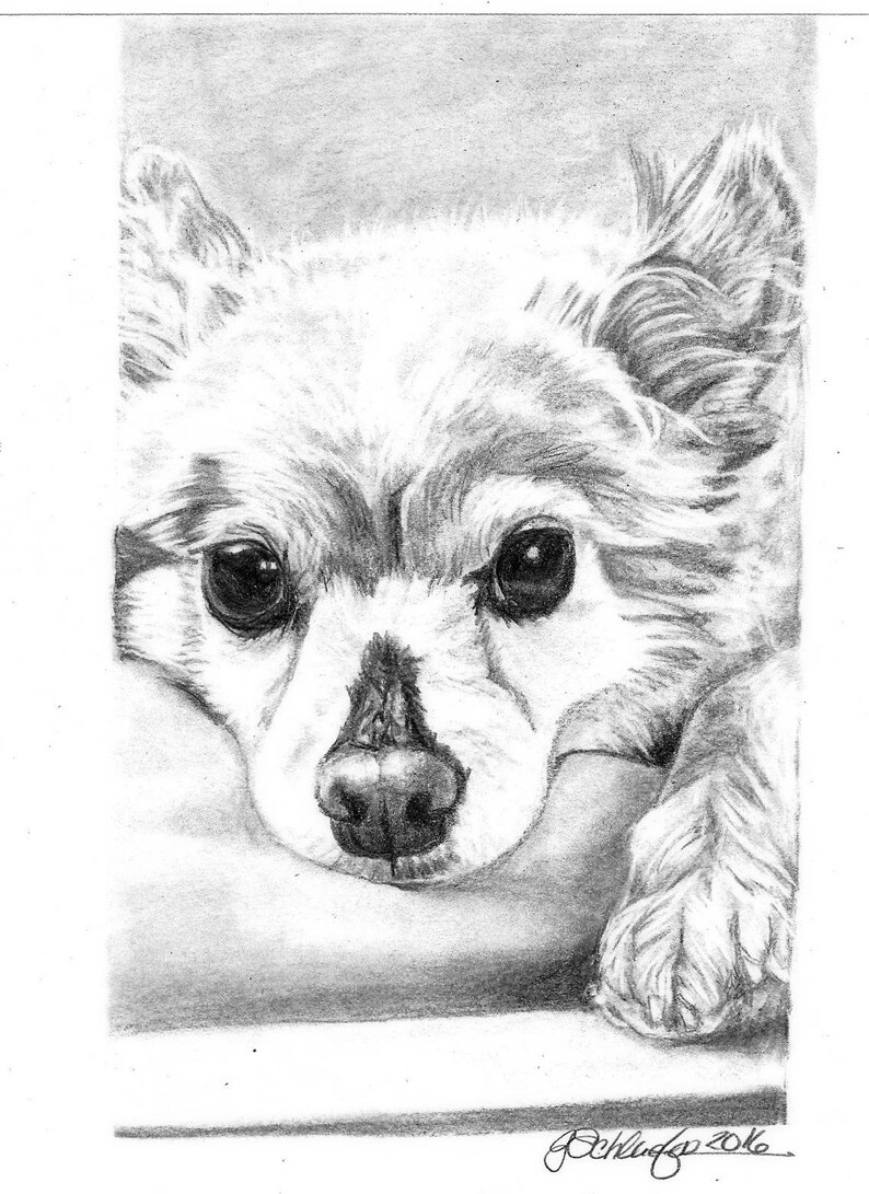8x10 Custom Pet Portrait Memorial Drawing Photo to | Etsy