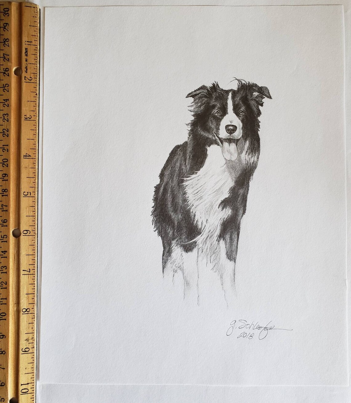 8x10 Hand Drawn Pet Portrait Original Sketch of Border | Etsy