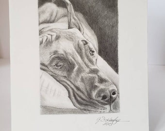 Great Dane Sketch | Etsy