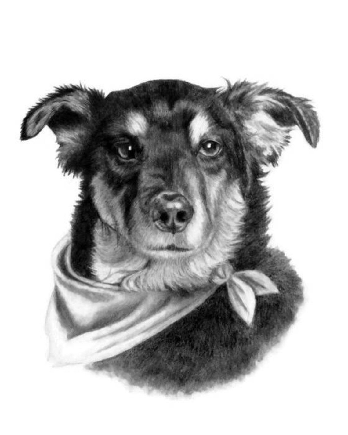 Custom Pet Portrait Dog Drawing Hand Drawn Pencil Sketch From | Etsy