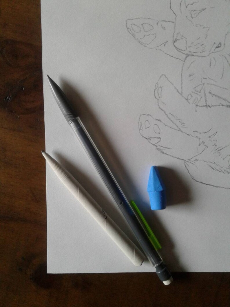 Learn to Draw Pre-outlined Pencil & Paper Drawing Kit W/ Tutorial Easy ...