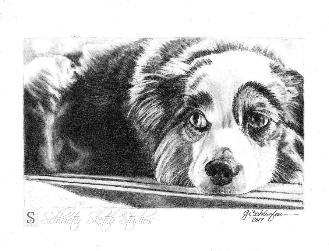 Highly Detailed Pet Portrait Custom Memorial Sketch Art Drawing by Hand ...