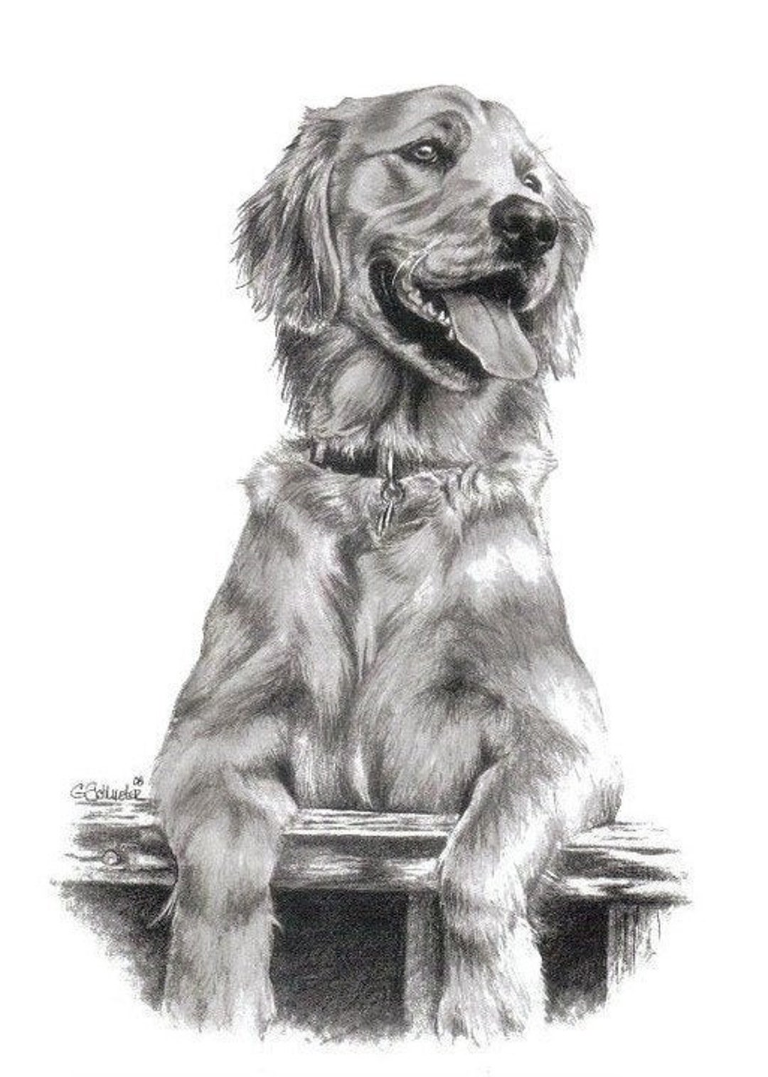 Custom Pet Portrait Hand Drawn Artwork in Pencil From Photo Commission ...