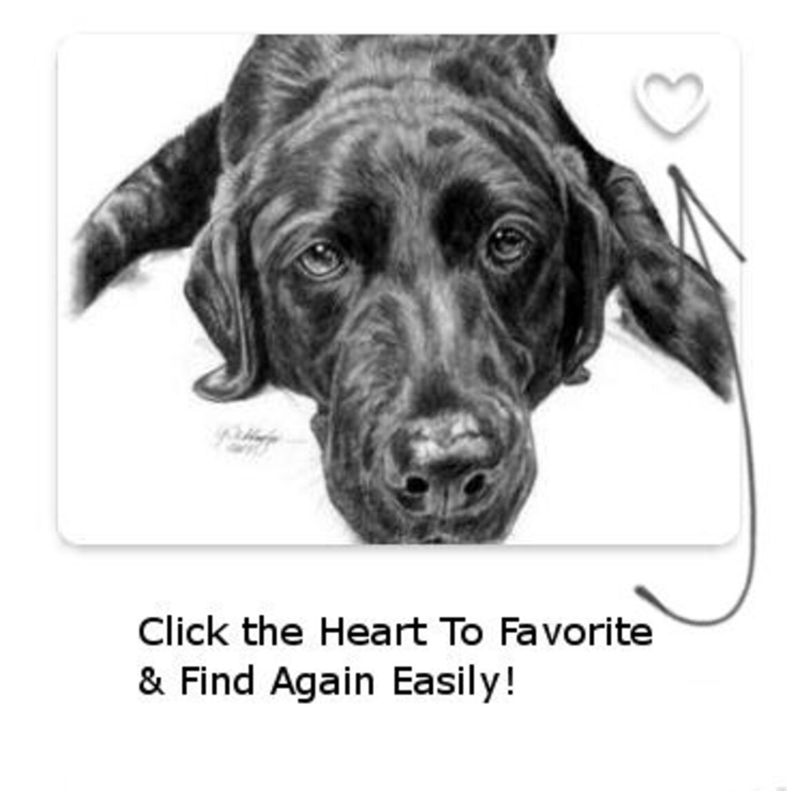 8x10 Dog Memorial Custom Pet Portrait Dog Drawing Pencil | Etsy