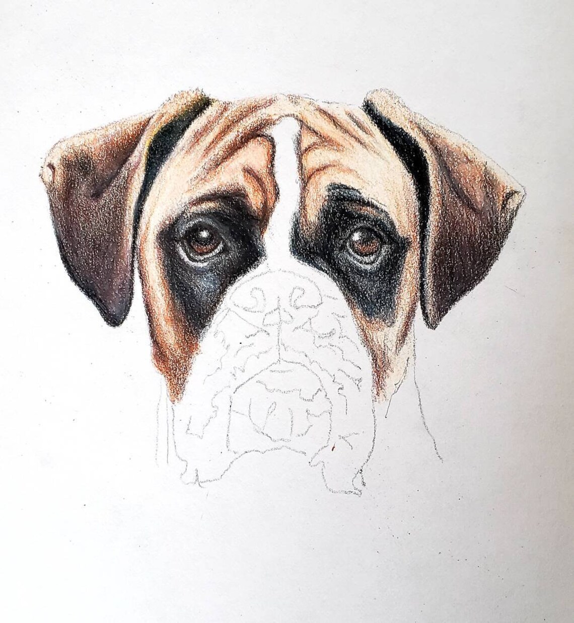 Beautiful Colored Pencil Pet Portrait Art Drawn by Hand From | Etsy