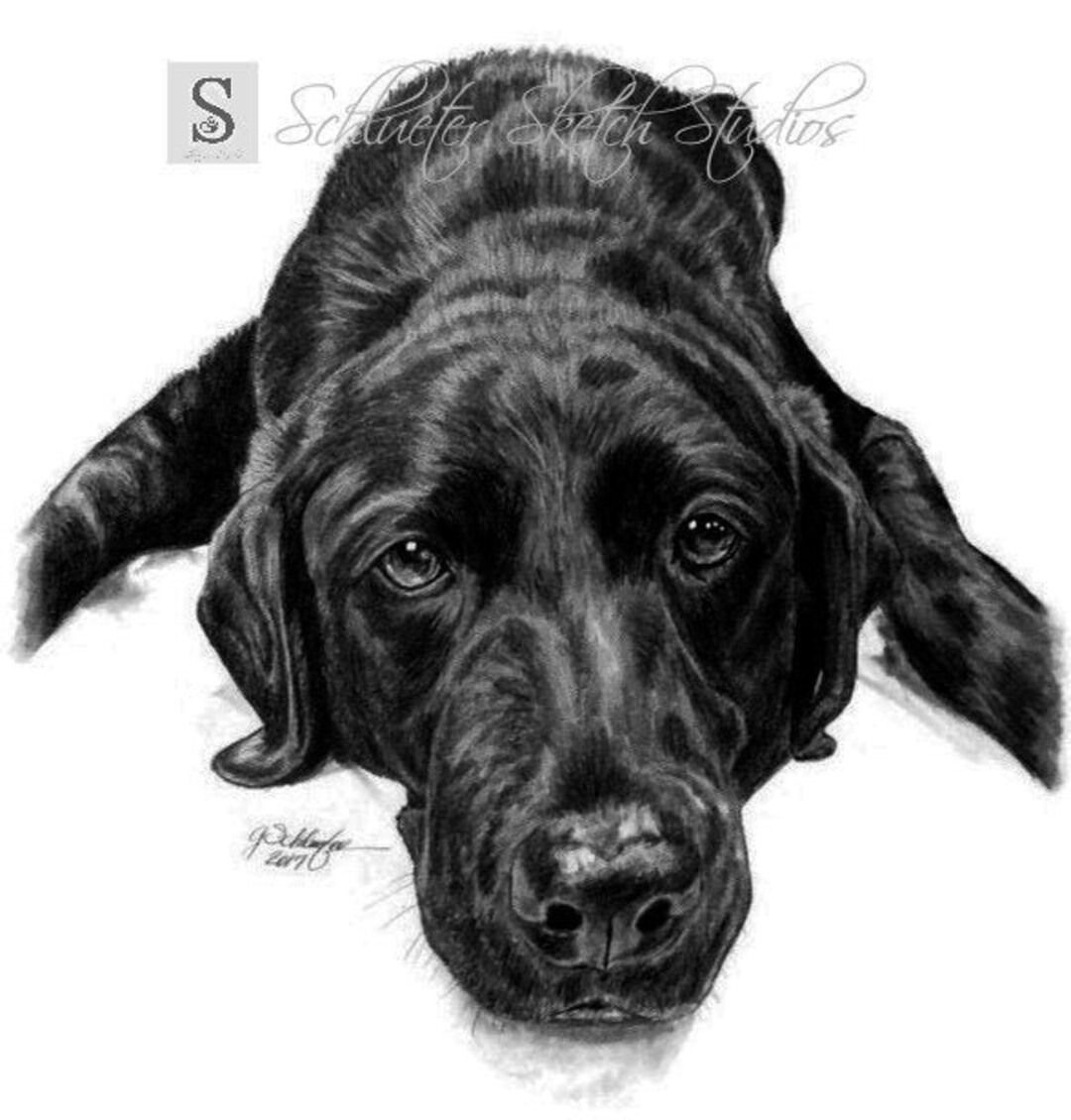 8x10 Custom Pet Portrait Memorial Drawing Photo to Sketch Dog Owner ...