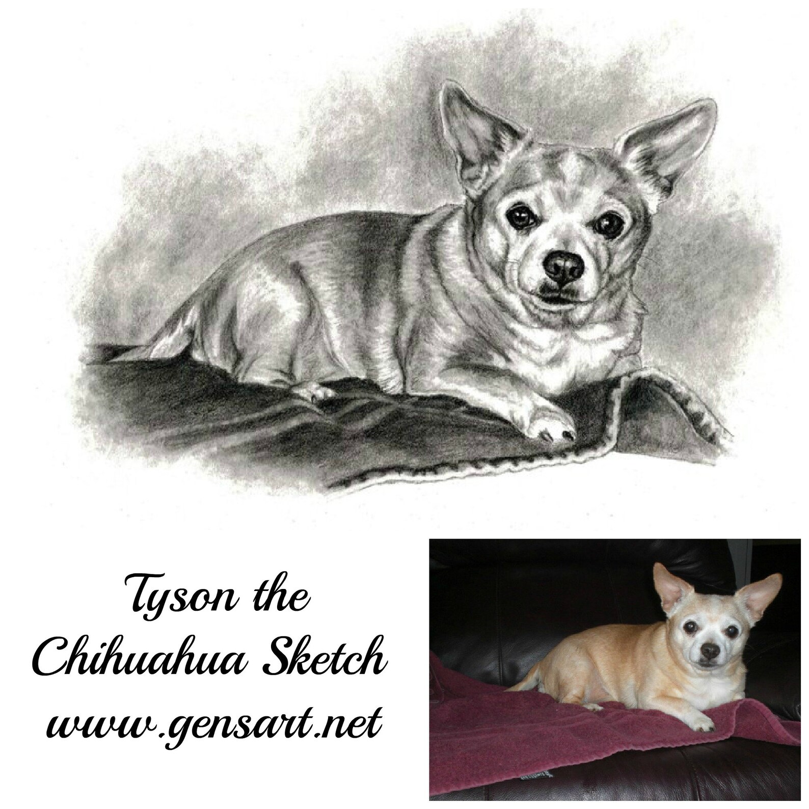 Custom Pet Portrait Drawing Commission Me to Sketch Your | Etsy