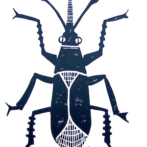 3 LINOCUT PRINTS Set of 3 Block Print Insects 8x10 Bugs Entomology ...