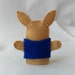 Peter Rabbit Finger Puppet Peter Rabbit Felt Finger Puppet - Etsy