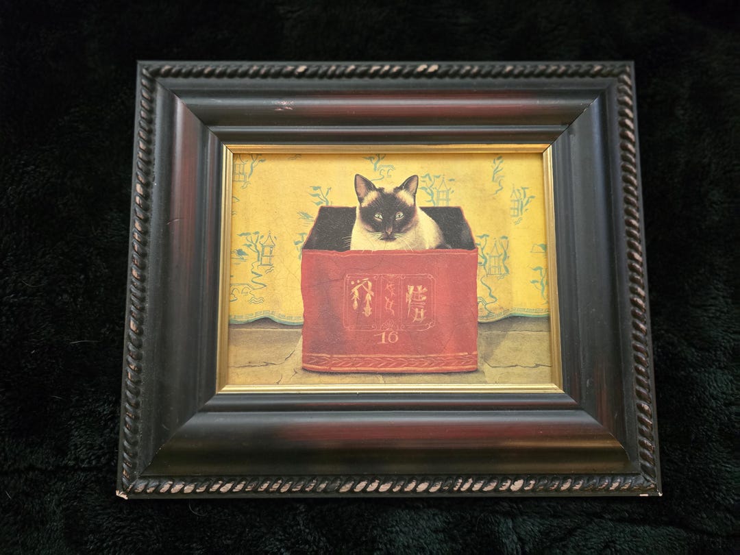 Art Print "miss Meka" Siamese Cat by Paul Stagg From Bombay Company ...