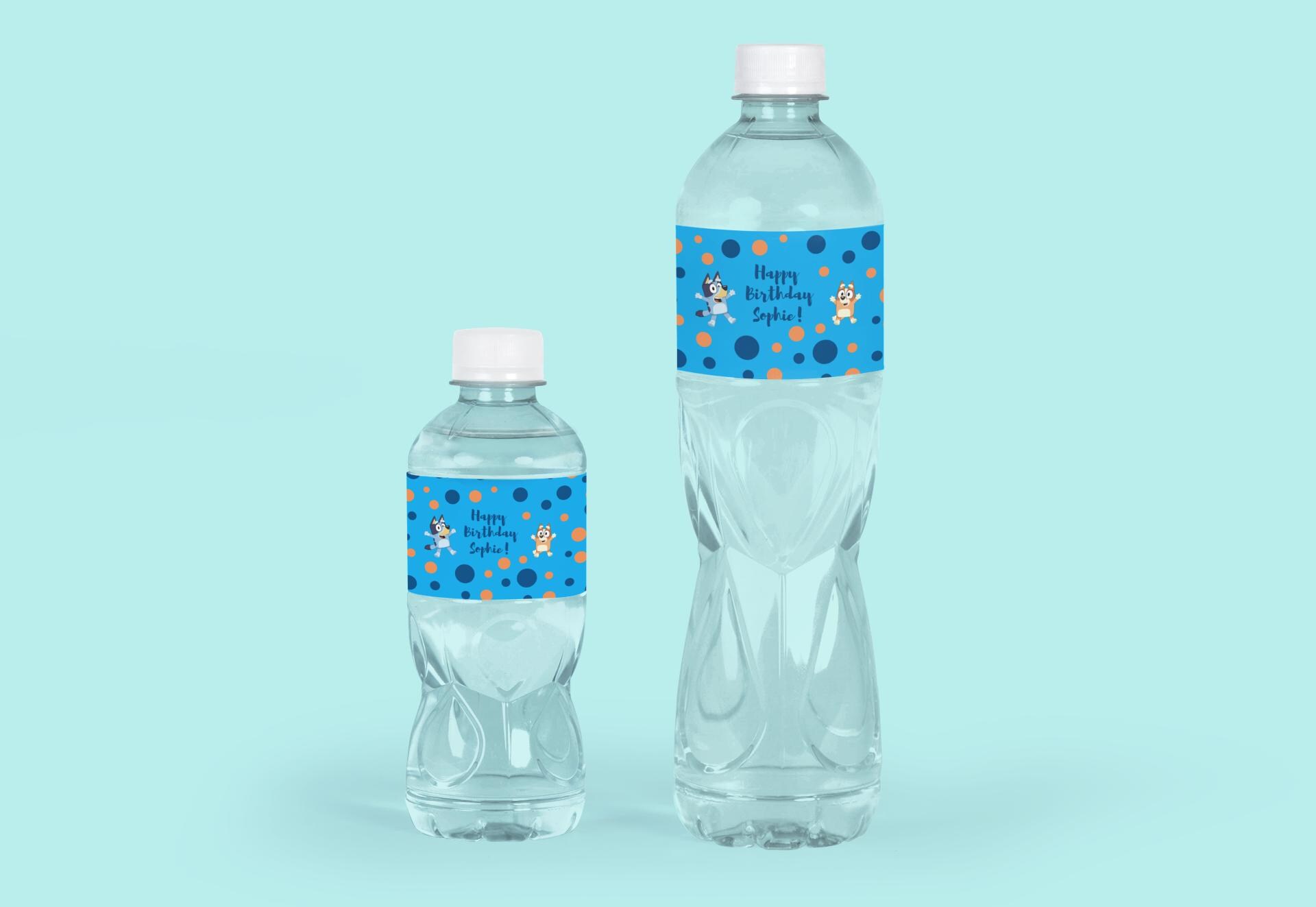 Bluey Water Bottle Labels - Etsy