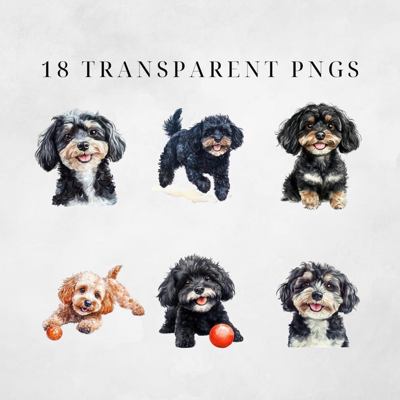 Dog Clipart Cavapoo, Cute Puppies Transparent Png, Realistic Dog Breeds ...