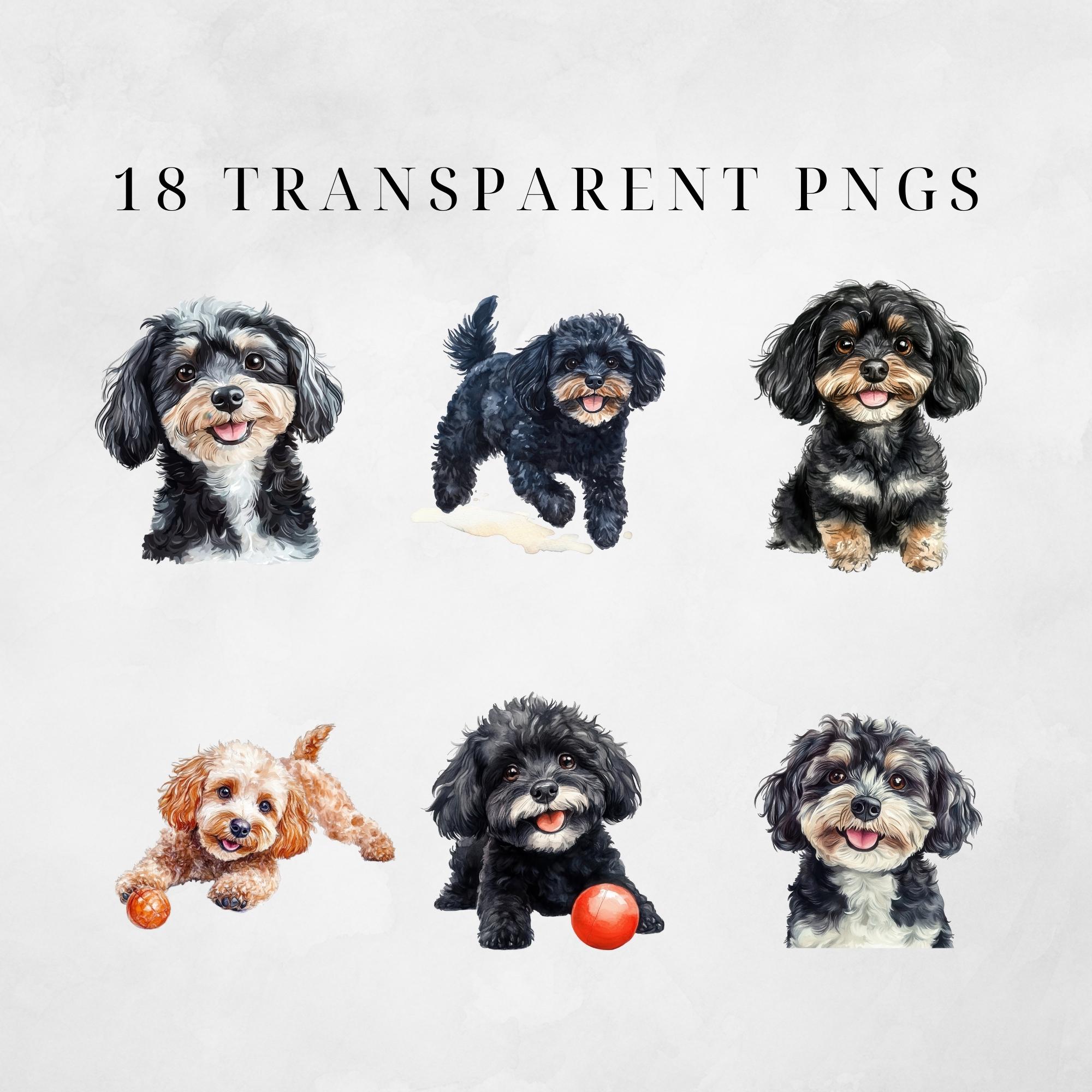 Dog Clipart Cavapoo, Cute Puppies Transparent Png, Realistic Dog Breeds ...