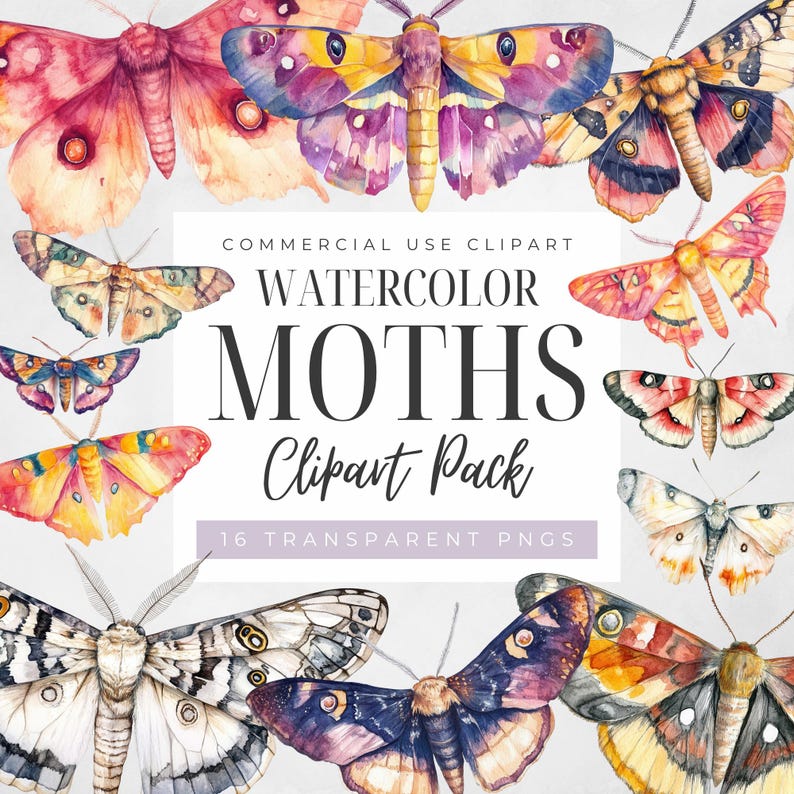Watercolor Moths Clipart, Digital Download, Bugs Clip Art, Commercial ...
