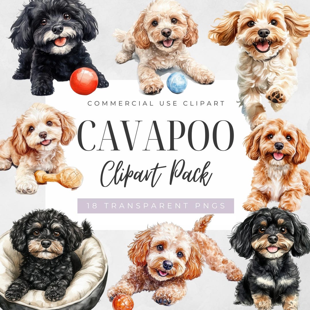 Dog Clipart Cavapoo, Cute Puppies Transparent Png, Realistic Dog Breeds ...