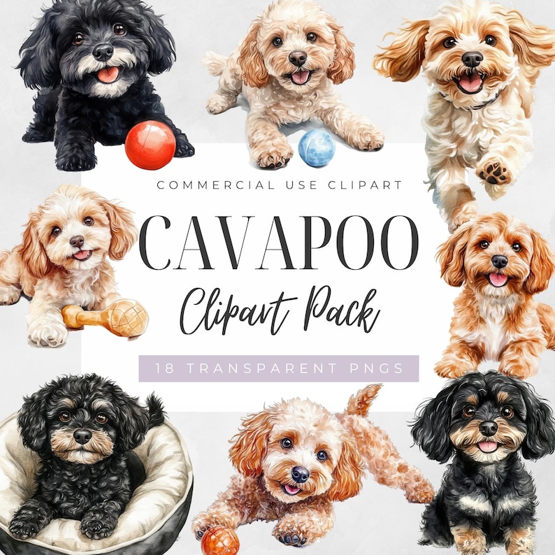 Dog Clipart Cavapoo, Cute Puppies Transparent Png, Realistic Dog Breeds ...