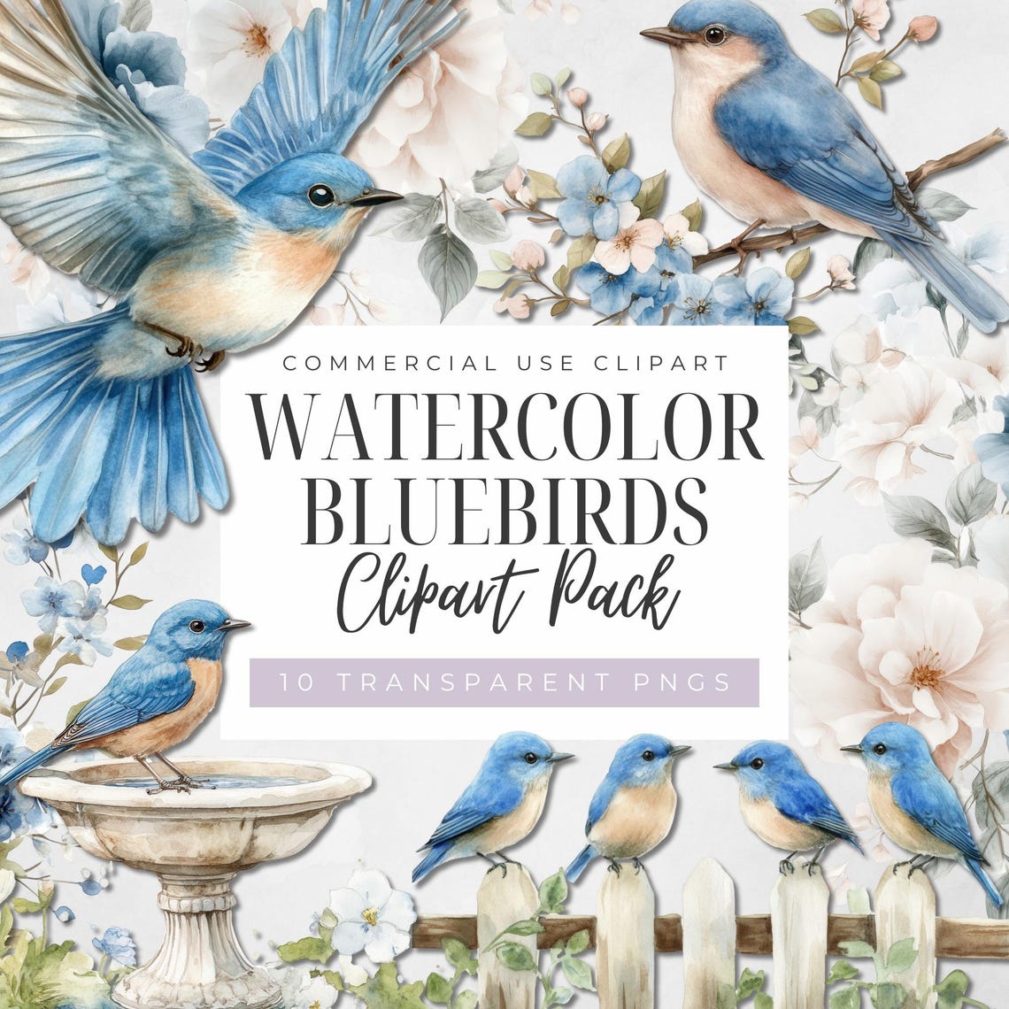 Watercolor Bluebird Clipart, Spring Birds Clip Art Illustrations ...