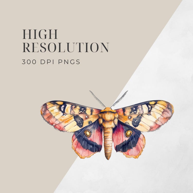 Watercolor Moths Clipart, Digital Download, Bugs Clip Art, Commercial ...