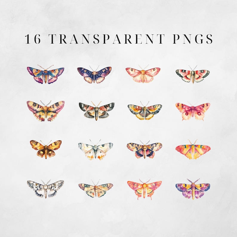 Watercolor Moths Clipart, Digital Download, Bugs Clip Art, Commercial ...