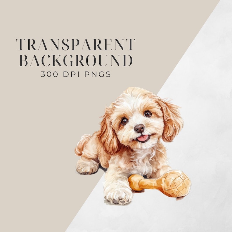 Dog Clipart Cavapoo, Cute Puppies Transparent Png, Realistic Dog Breeds ...